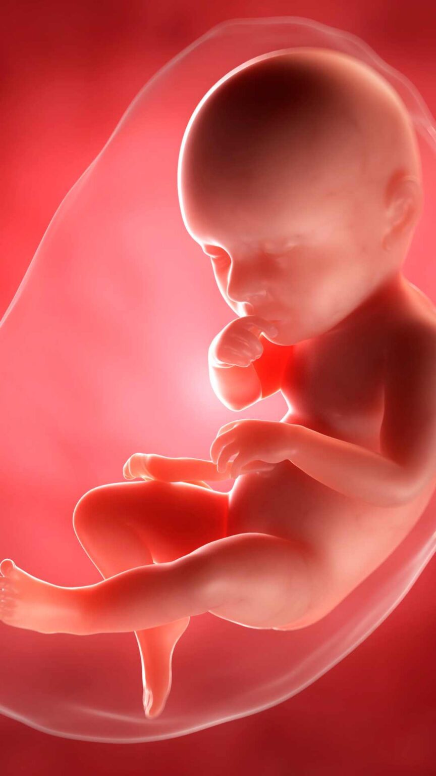 Você precisa saber o que acontece em todas as fases do seu bebê com ...